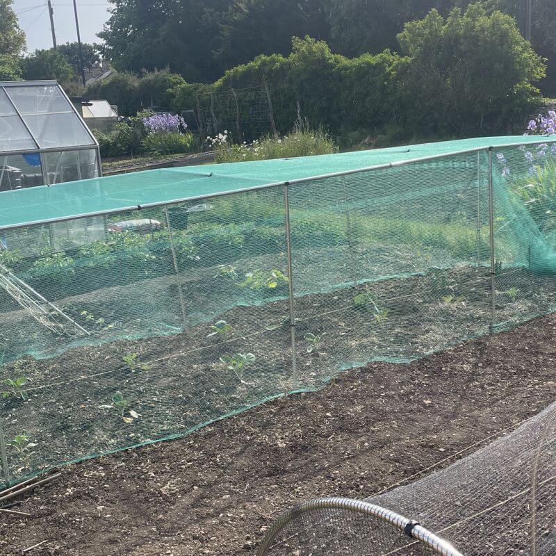 Low cages with Green Butterfly Netting [6] – Garden Netting