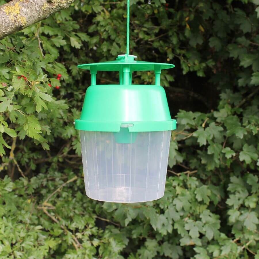 Box Tree Moth Traps – Garden Netting
