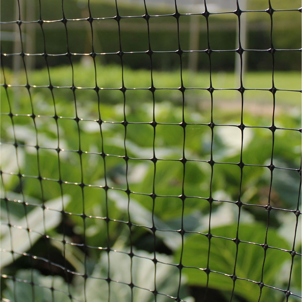Fruit Cage Garden Netting