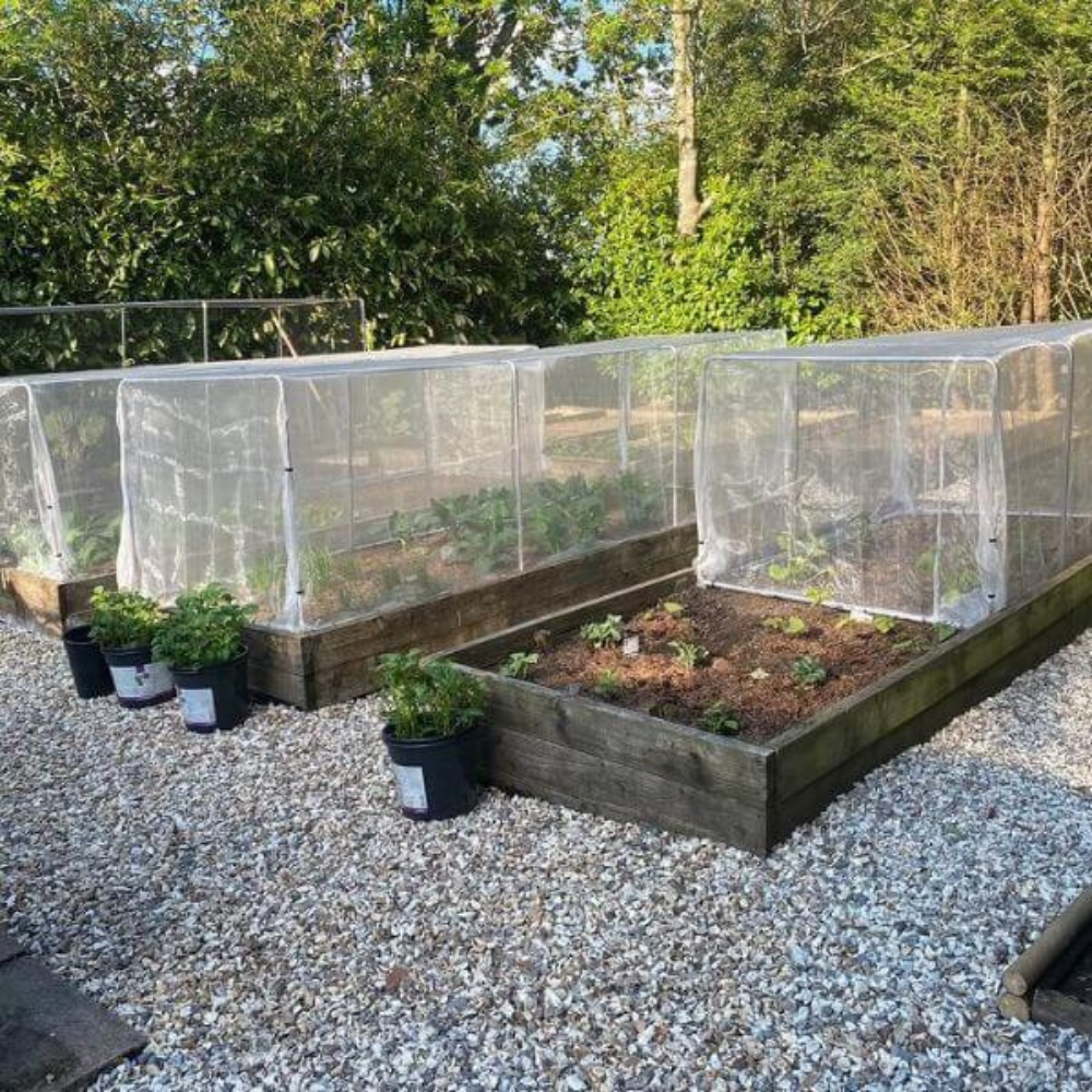 Square Portable Domed Garden Cages for Crop Protection – Garden Netting