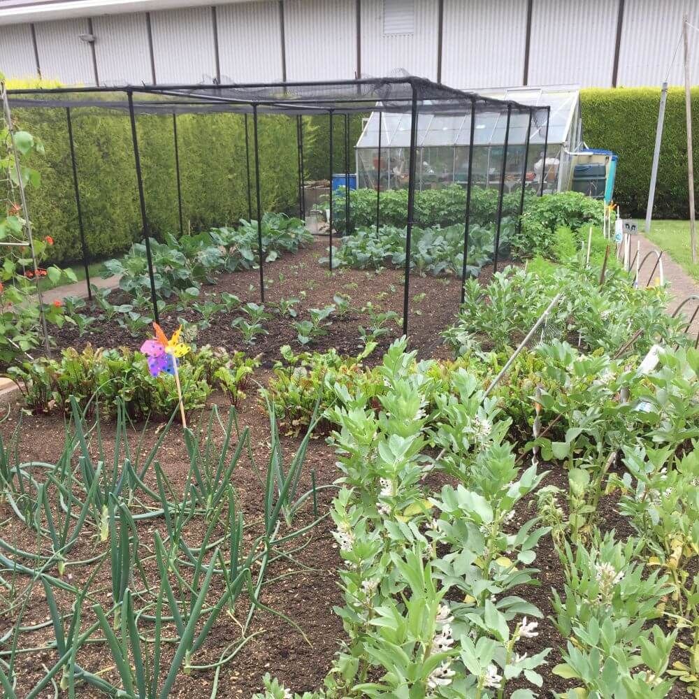Premium Vegetable Cages Garden Netting