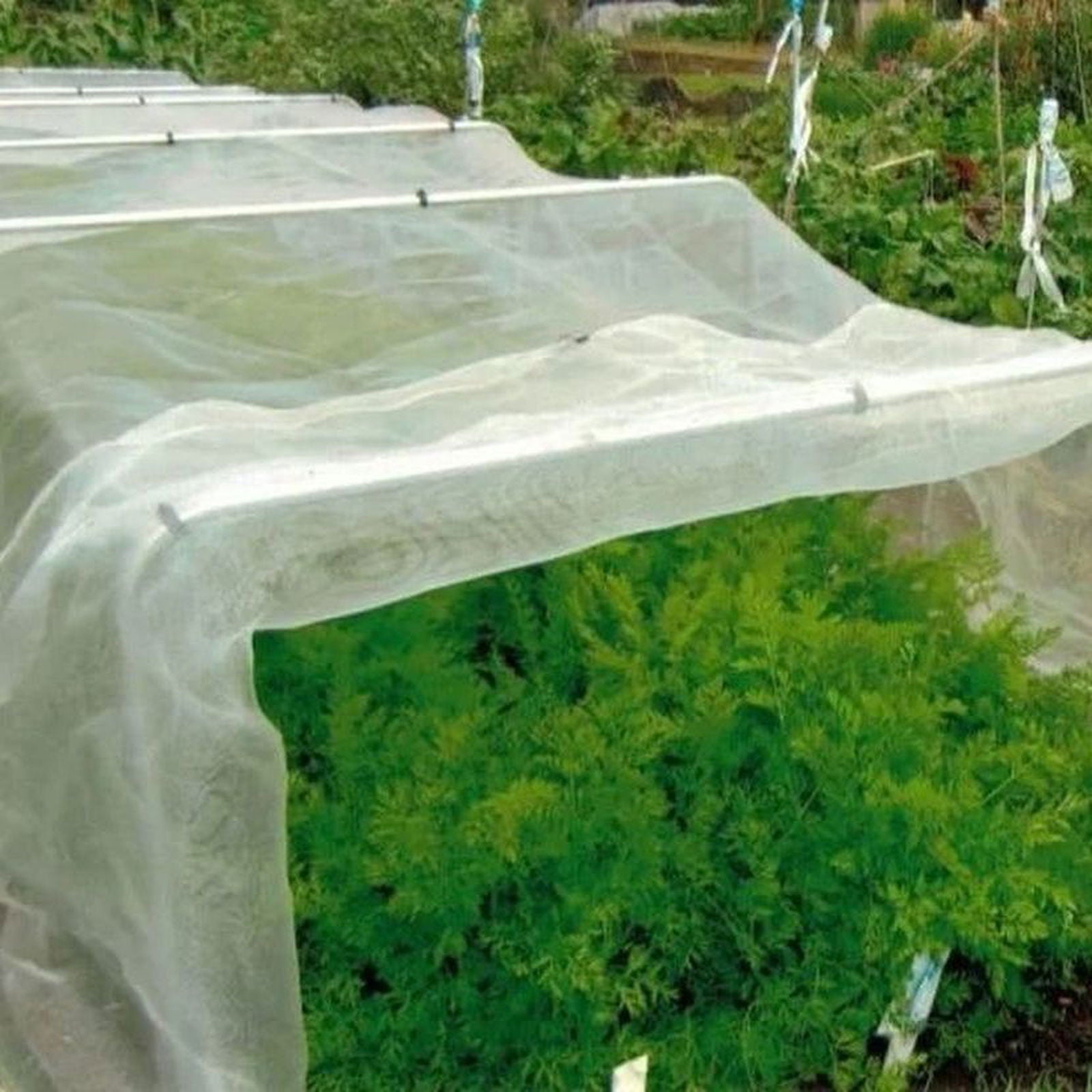 Square Garden Tunnels – Garden Netting