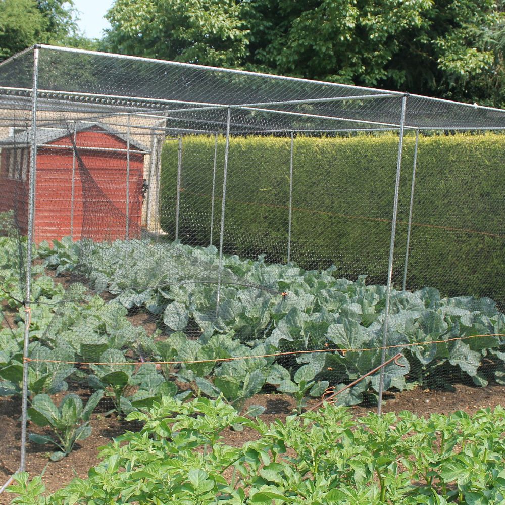 Walk-in Fruit and Vegetable Cages – Garden Netting