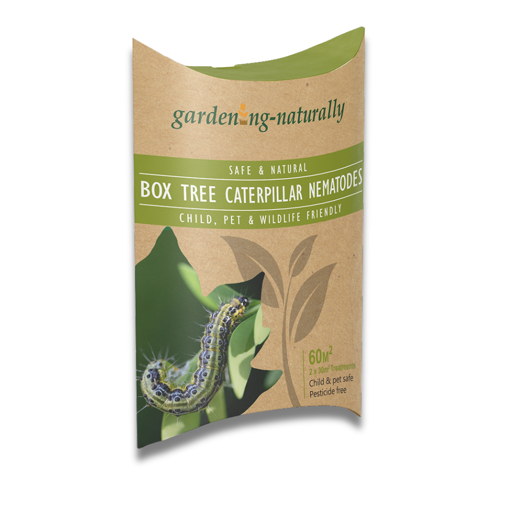 Box Tree Caterpillar Nematodes – Garden Netting