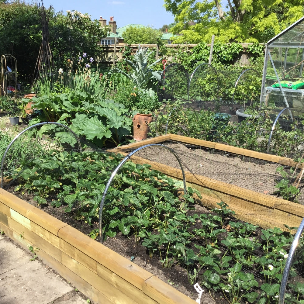 High Garden Tunnels – Garden Netting