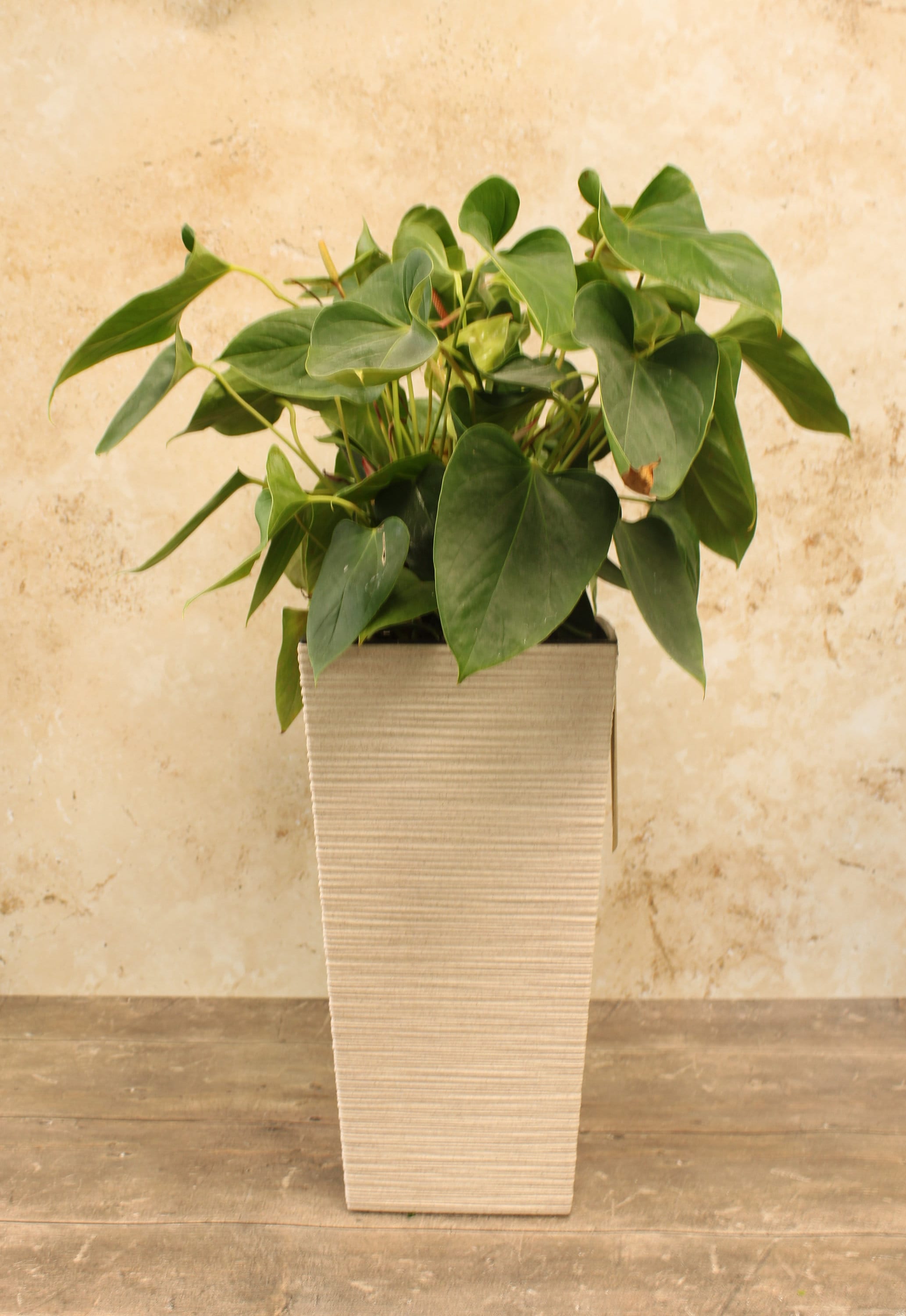 Recycled Tall Square Plant Pot – Garden Netting