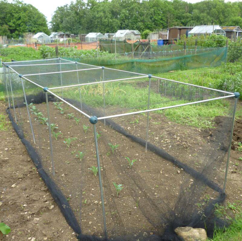 Low Cages with Black Bird Netting [3] – Garden Netting