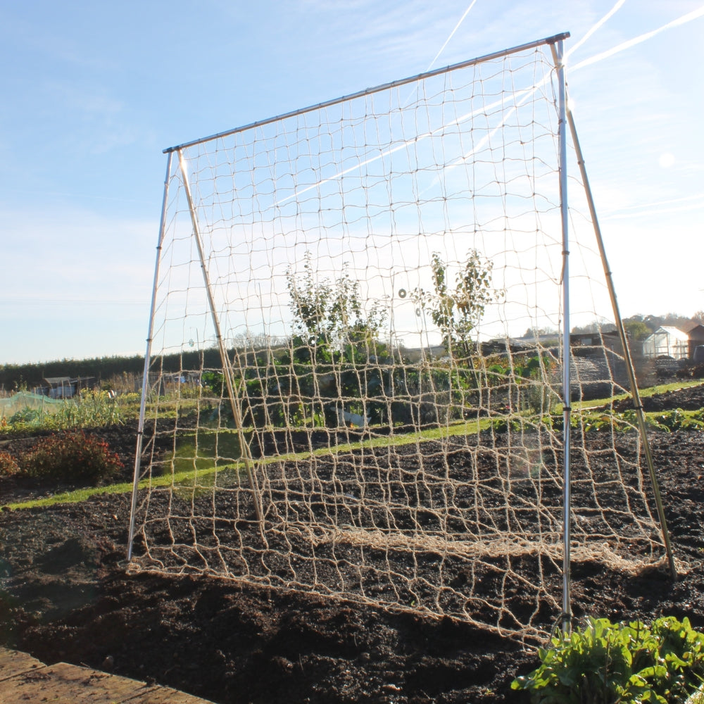 Pea and Bean Frame: Vertical Support for Climbing Plants – Garden Netting
